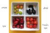 Torshi 'ye Zoghal Akhteh | Foraged & Pickled Cornelian Cherry - Fig ...